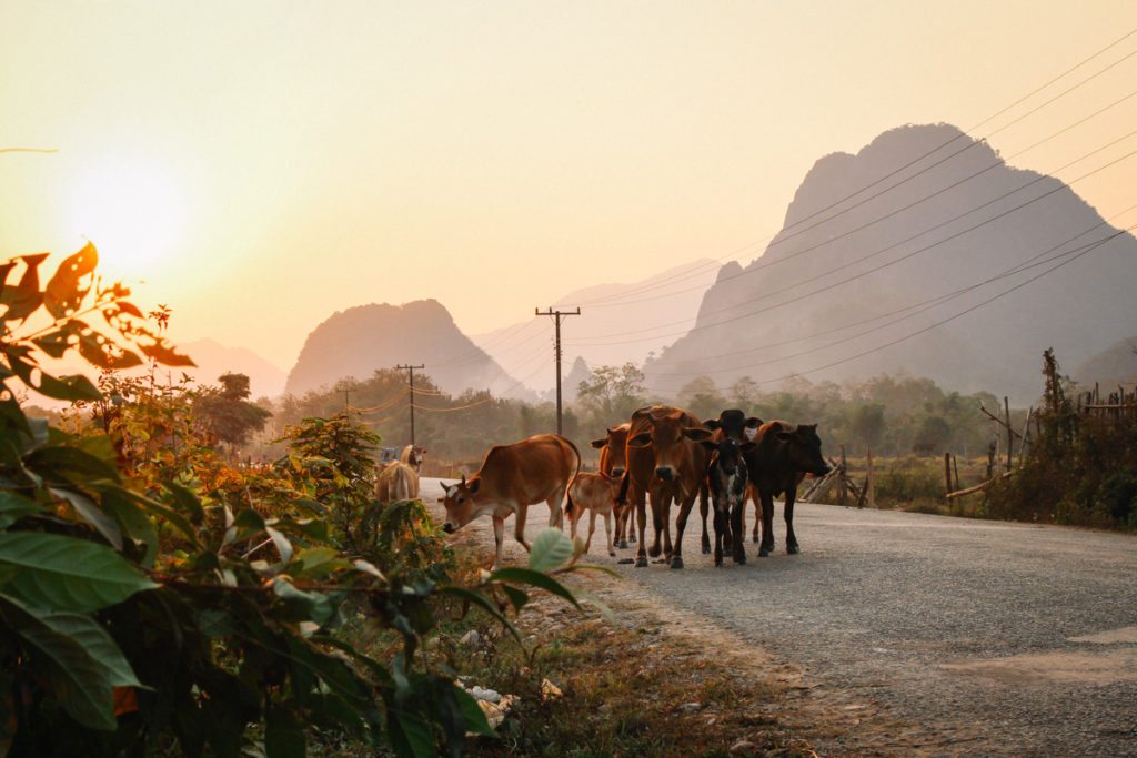 Laos Backpacking Route - Rundreise-Tipps für 2 bis 4 Wochen